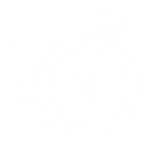 Analizador Niton DXL 800 | Espectrómetro Fluorescencia de Rayos X